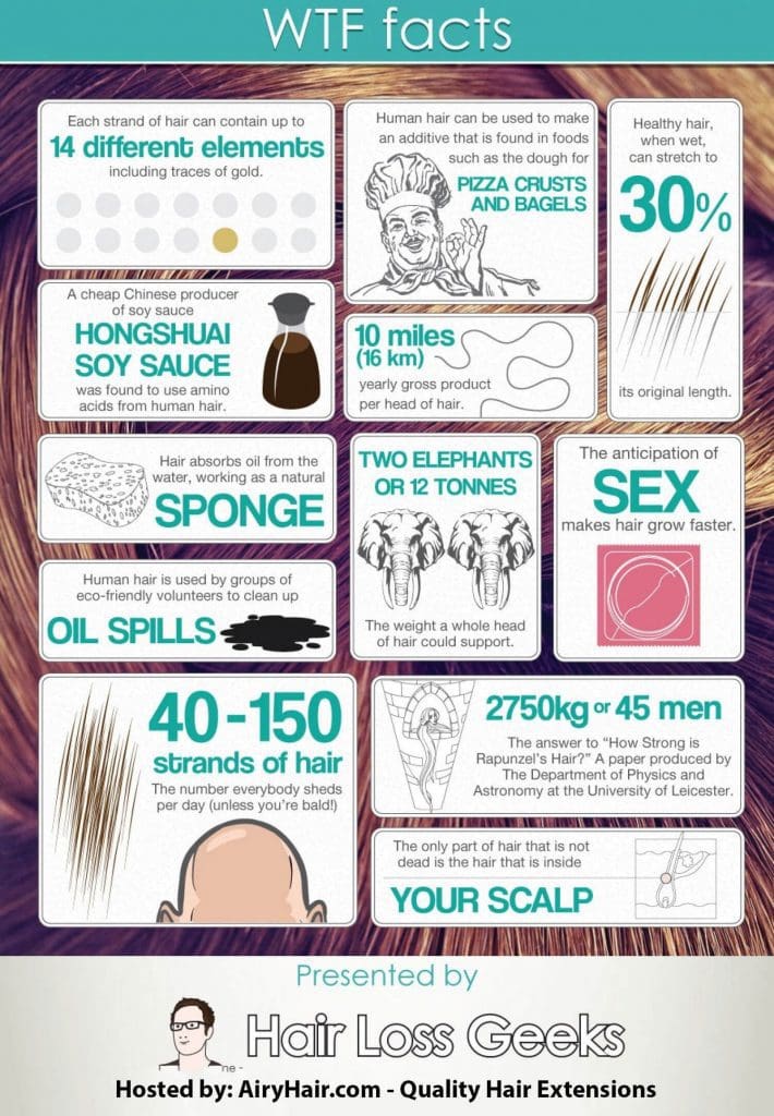 Top 50: Best & Weirdest Facts About Hair History & Beauty (2026)