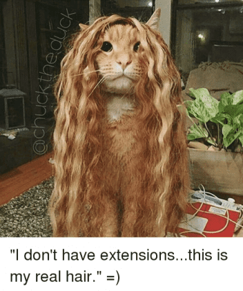 Top 17+ Best of Funny Hair & Hair Extension Memes (2025)